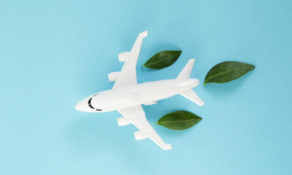 Aviation industry reliance on carbon offsets remains intact for the ...