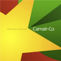 New Cameroon national carrier Camair-Co fails to reach first year ...